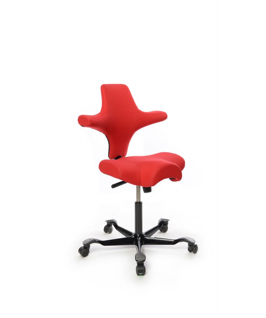 Capisco 8106 - Ergocentric, Ergonomic chairs, Office - AFG-Ergo