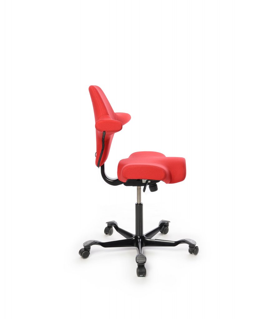 Capisco 8106 - Ergocentric, Ergonomic chairs, Office - AFG-Ergo